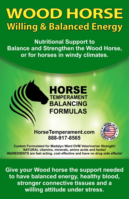 Horse Balancing Products | Online Horse Typing Class | Horse Temperament